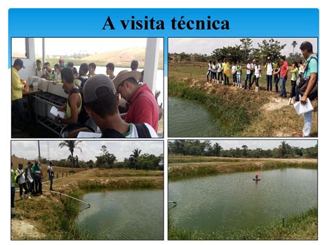 Pr Ticas Pedag Gicas Integradas Nos Cursos T Cnicos E Integrados Ppt