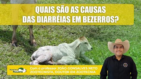 Quais são as causas das diarreias em bezerros YouTube