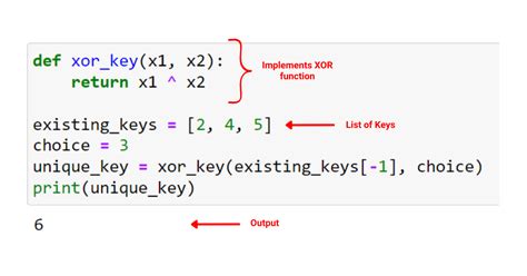 Python XOR Operator User Guide Master Data Skills AI