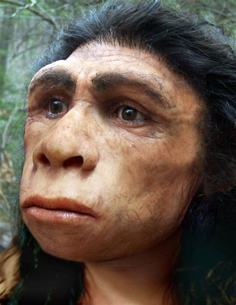 The Last Human Ancient Humans Human Species Human