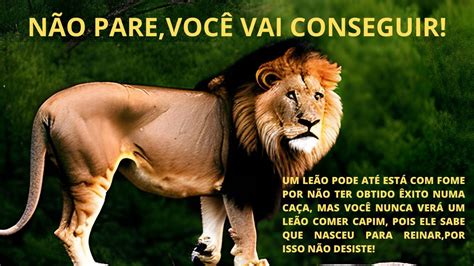 Palavra Do Dia Palavra Do Dia De Hoje Palavra De Hoje Palavra De Deus