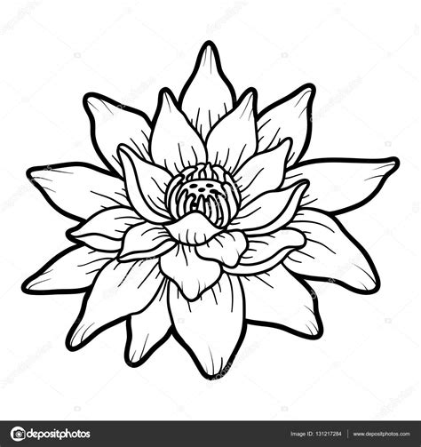 Flores De Loto Dibujos Para Colorear Images And Photos Finder