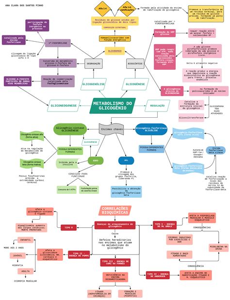 Mapa Mental Metabolismo Da Glicose Bioqu Mica I The Best Porn Website