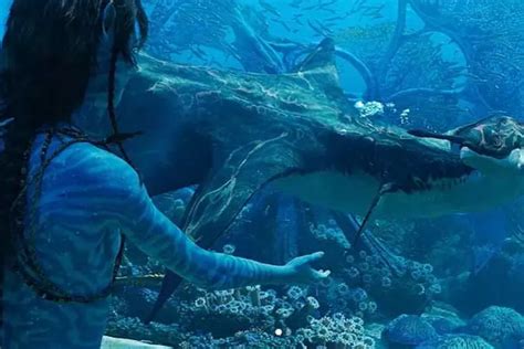 Jadwal Tayang Dan Harga Tiket Film Avatar 2 The Way Of Water Di