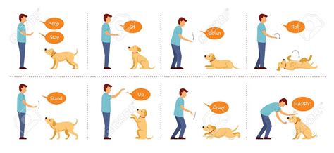 Cómo enseñar a tu perro órdenes básicas de adiestramiento