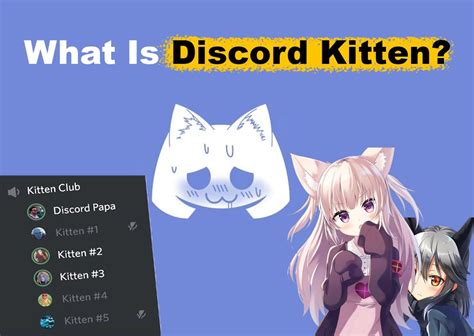 How To Make Rules In Discord Robots Net