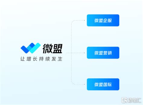 微盟集团 2013 HK 成立三大子集团组织变革升级解锁持续增长 数字化 营销 市场