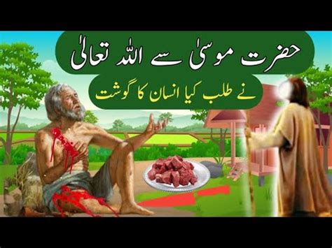 Allah Pak Ne Talab Kia Insan Ka Ghost Hazrat Musa Ali Ka Waqia