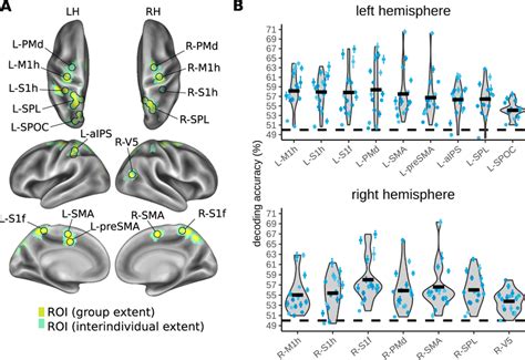 MVPA Results For Decoding Movement Goal Location Pointing Movement To