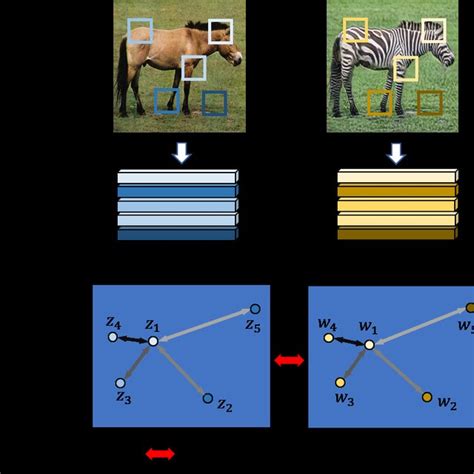 hard negative mining with semantic relation the color represents the download scientific