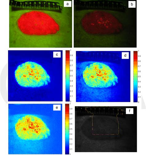 figure 1 from blind multispectral image decomposition by 3d nonnegative tensor factorization