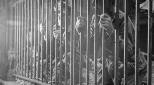 Prisoners Of War 30 Harrowing Historical Photographs