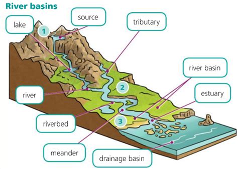 Diagram River What Are The 3 Stages Of A River