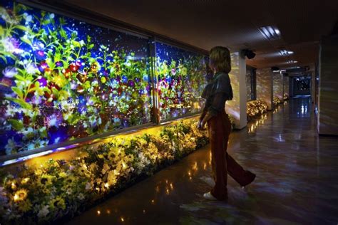 Naked Garden Saga 2022 Events In Saga Japan Travel