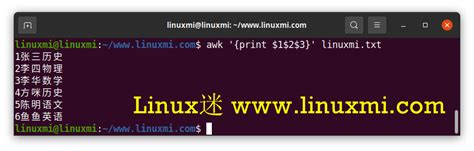 10个很棒的awk命令示例 linux迷