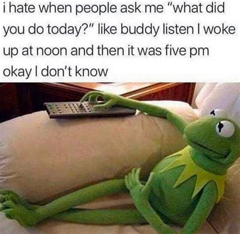 10 Most Hilarious Kermit The Frog Memes From The Muppets DotComStories