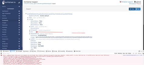 Handle Duplicate Env Vars In Container Inspect Issue