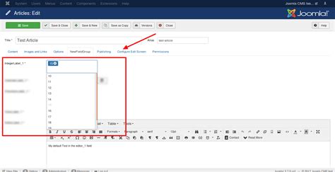 J3 X Adding Custom Fields Integer Field Joomla Documentation