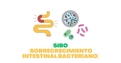 SIBO Sobrecrecimiento intestinal bacteriano Víctor Sánchez Nutrición