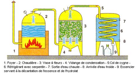 M Thodes De Production Et De Fabrication Des Huiles Essentielles