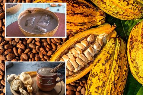 Hoy Se Celebra El D A Mundial Del Cacao