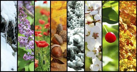 Collage quatre saisons hiver printemps été automne image libre de