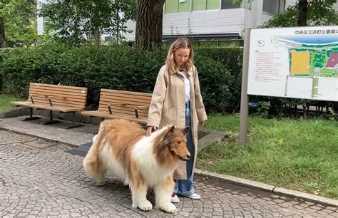 Homem Que Virou Um Cachorro Sai Para Passear Na Rua Veja Como Pessoas