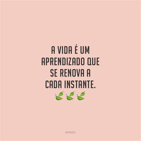 54 frases de aprendizado para você refletir suas vitórias e derrotas