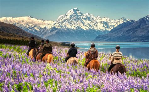New Zealand In June Things To Do Best Bits