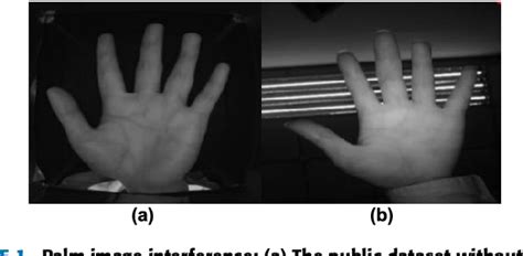 figure 1 from contactless multispectral palm vein recognition with lightweight convolutional
