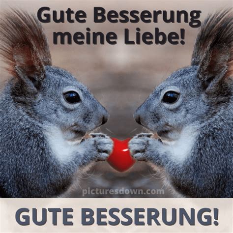 Liebe Gute Besserung Bild Eichh Rnchen Und Herz Kostenlos