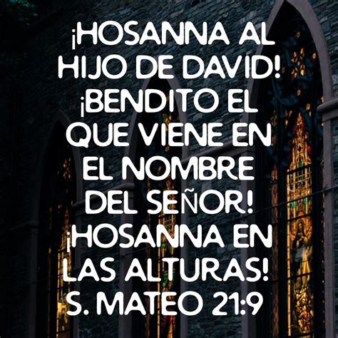 Hosanna al Hijo de David Bendito el que viene en el nombre del Señor