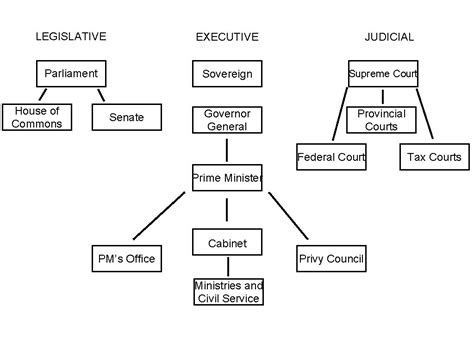 Who Oversees The Executive Branch