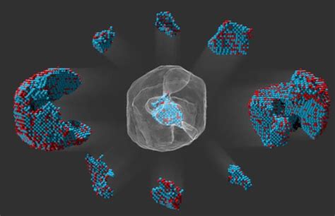 Microscopio Más Potente Del Mundo