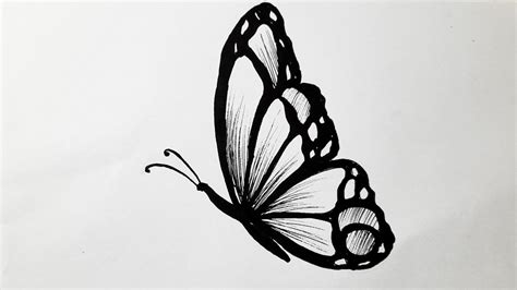 How To Draw A Butterfly Easy Step By Step Butterfly Drawing Youtube
