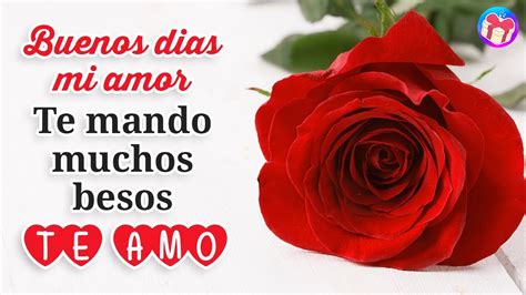 Buenos Dias Mi Amor Te Mando Muchos Besos Te Amo Estas Bonitas