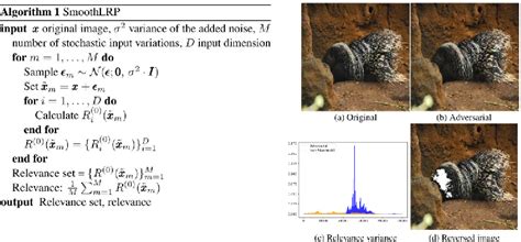 figure 3 from smoothlrp smoothing lrp by averaging over stochastic input variations semantic