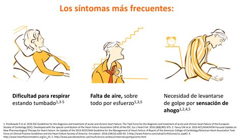 Insuficiencia cardiaca qué debo saber en el año 2018 Dr Azcárate
