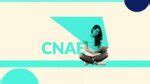 Cnae O Que Exemplos E Tabela