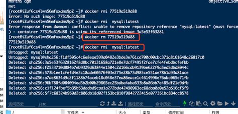 docker 删除and清理镜像 编程之家