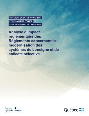 Remplissable En Ligne Analyse Dimpact Rglementaire Des Rglement