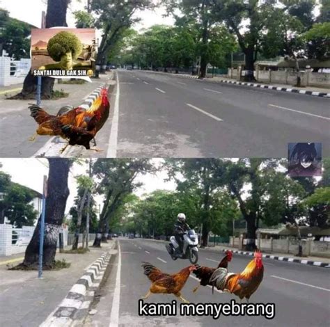Meme Lucu Santai Dulu Gak Sih Ini Bikin Elus Dada