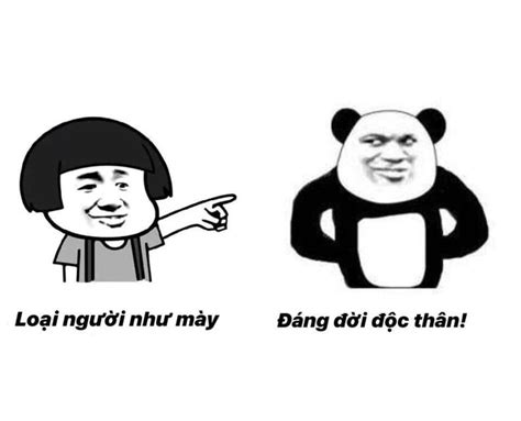 80 meme gấu trúc weibo hài hước bá đạo Memes Funny memes Funny