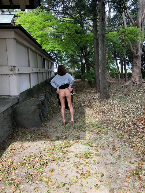 野外露出 画像投稿掲示板 投稿内容