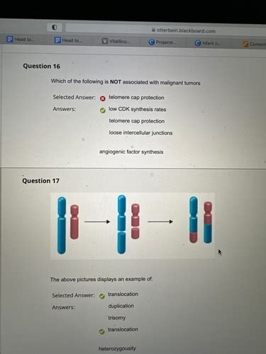 PATHO PRACTICE EXAM Flashcards Quizlet
