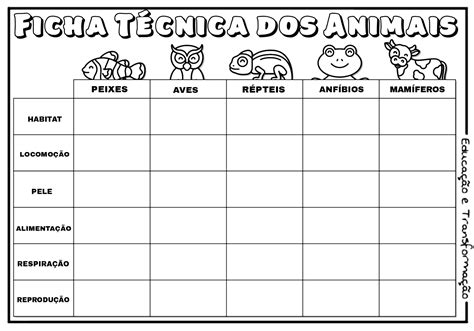 Blog Educa O E Transforma O Animais Ficha T Cnica