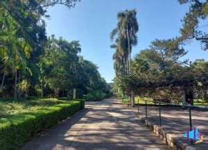 Jardim Nico De S O Paulo Chicas Lokas Na Estrada Dicas De Viagem