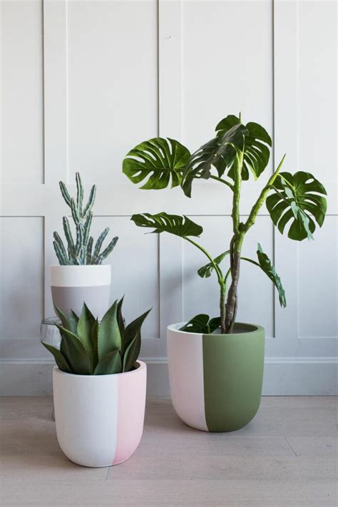 Vasos Para Plantas Dicas Para Escolher Bem