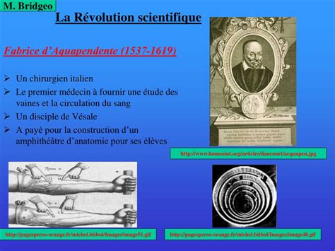 PPT La Révolution scientifique PowerPoint Presentation free download
