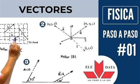 Cálculo de magnitud y dirección de un vector una guía práctica paso a paso